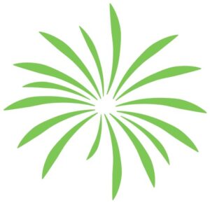 Elche – Palmera Tech